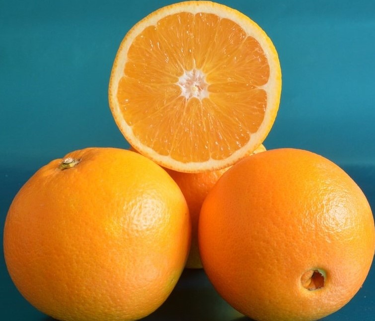 Navel – Rooikrans | AGRI Business