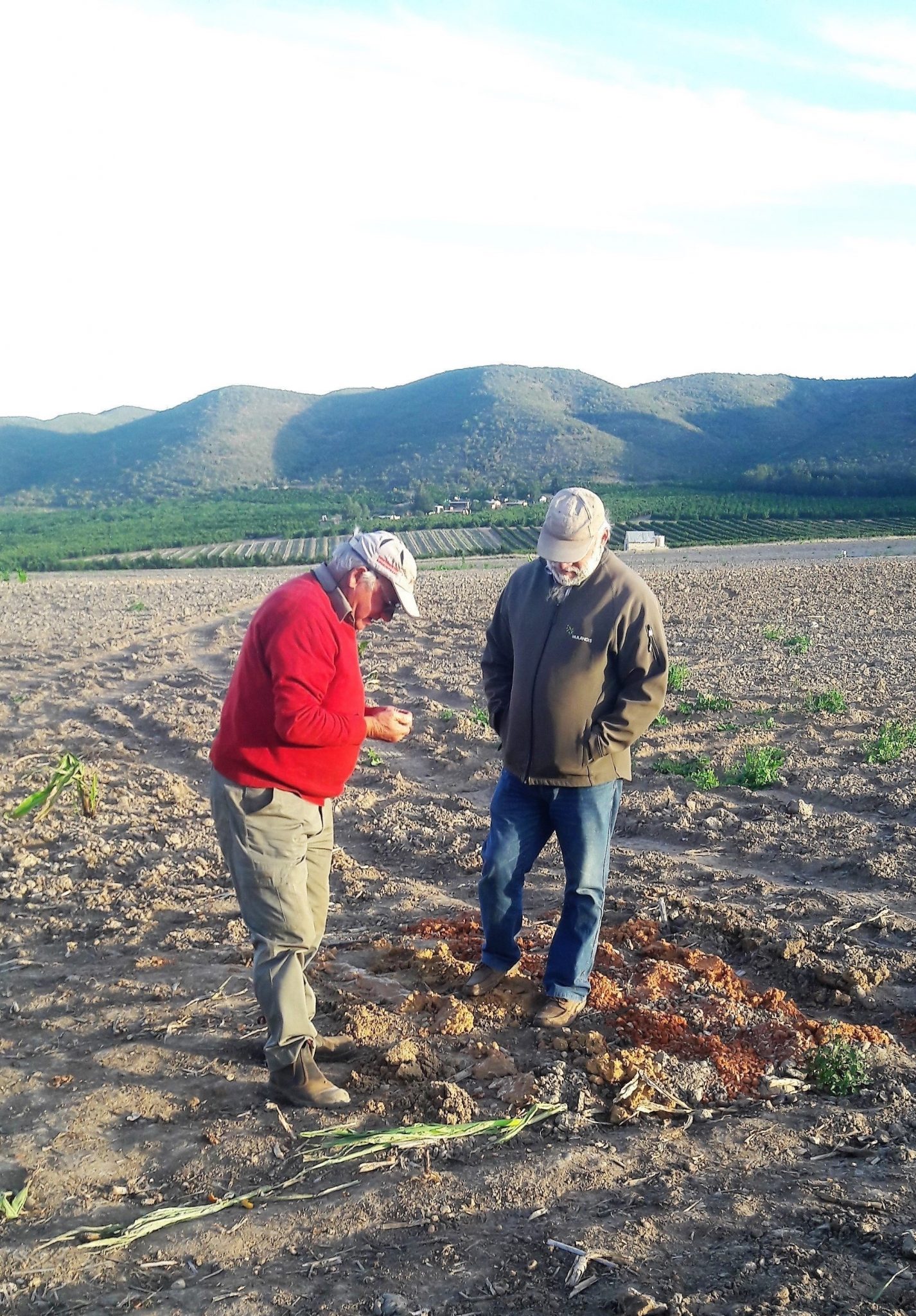 Gallery – Rooikrans | AGRI Business