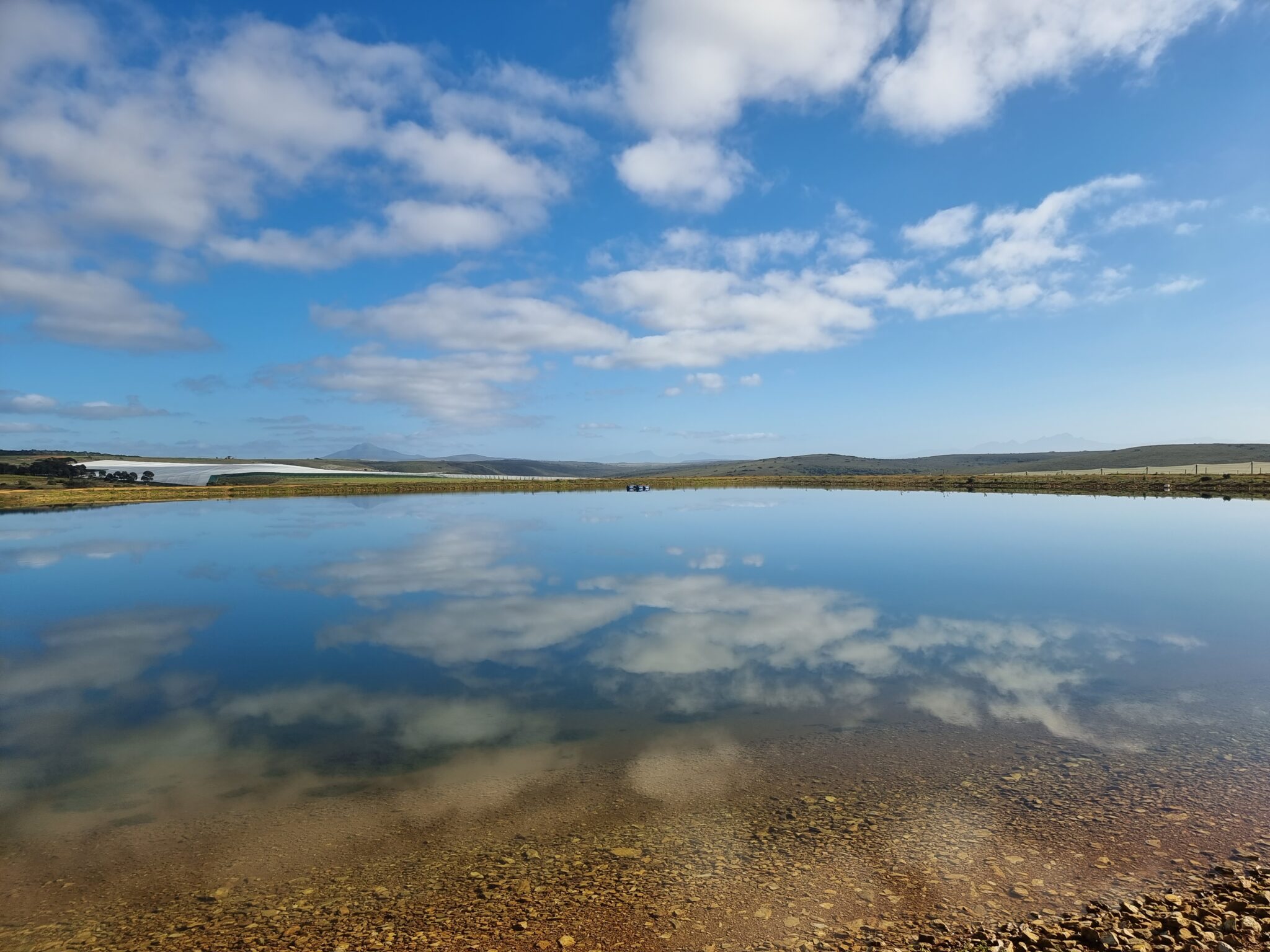 Gallery – Rooikrans | AGRI Business